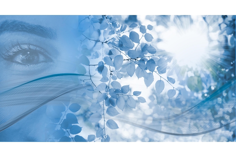 NEW SMC Expertise - Passion - Automation